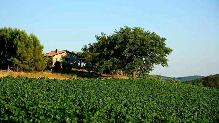Poggio Foco- Cottage Casetta - Capalbio