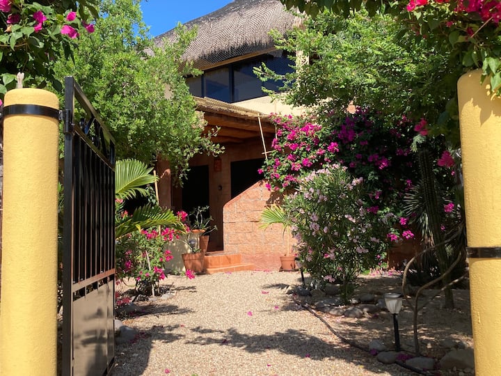 Casa Marino & Casa Henrietta - Family & Friends - Cabo Pulmo National Park