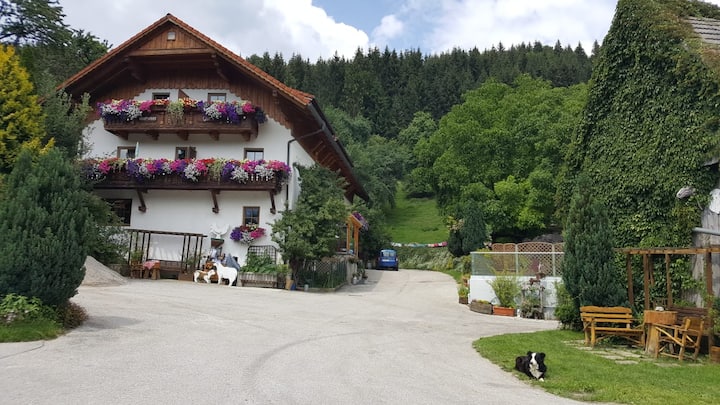 Bauernhofurlaub In Ruhiger Lage Mit Bergblick - Hinterstoder