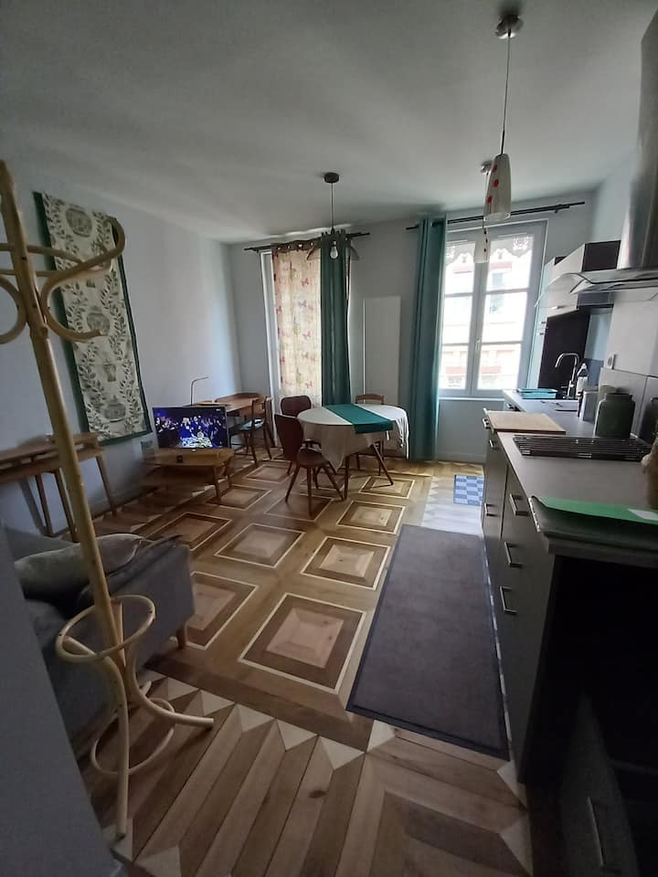 T1 De Prestige Au Coeur De Lyon - Lyon