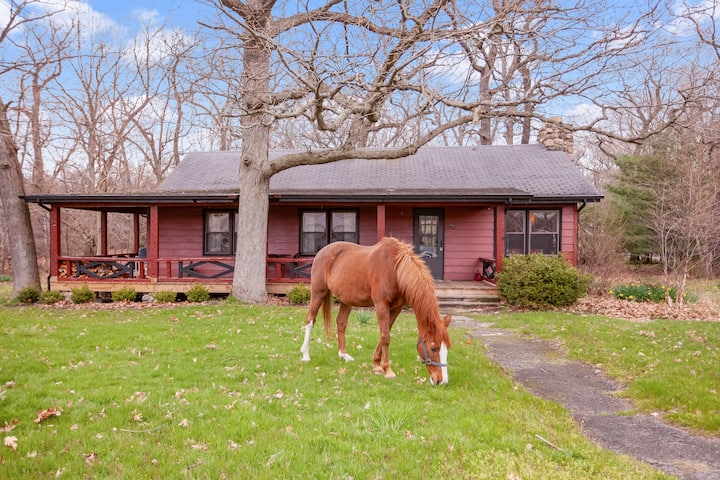 Cozy Cabin On The Grounds Of A Riding Stables - Michigan City, IN