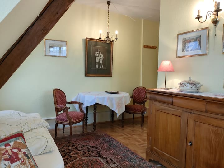 Studio Toits De Colmar - Colmar
