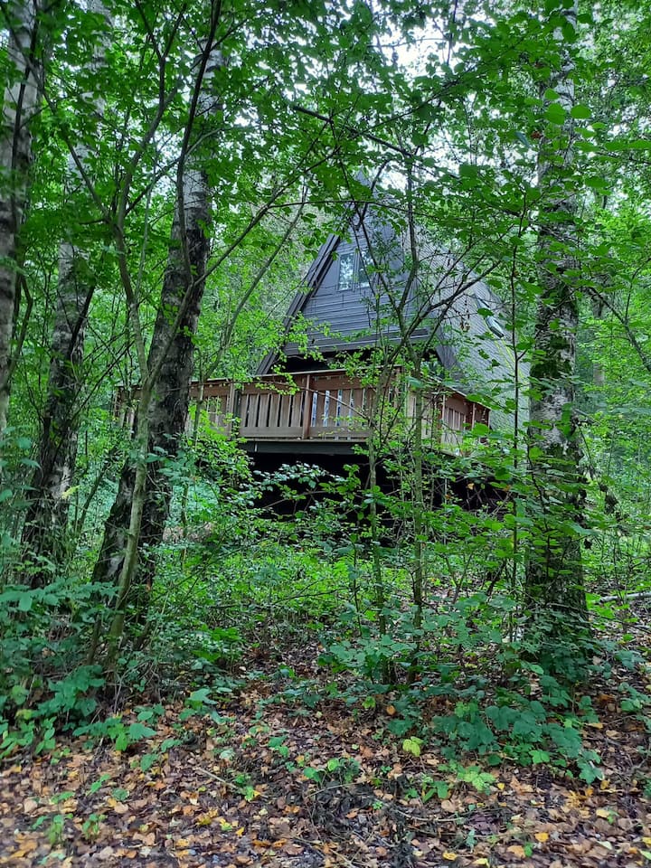 Charmante Chalet Voor 5 Tot 6 Personen In Durbuy - Durbuy