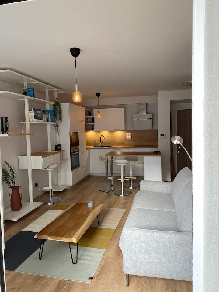 Bord De Lac Joli T1 Bis Rés Standing 3* - Hossegor