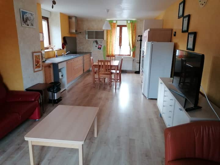 Appart Rdc Avec Local Vélos/skis, Parking Gratuit - Vosges