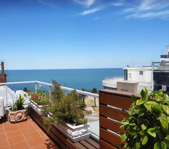 Pent House With Ocean Views And Terraces - Montevideo