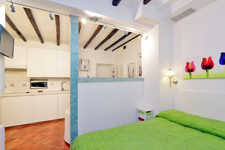 Appartamento Nel Centro Di Roma - Roma