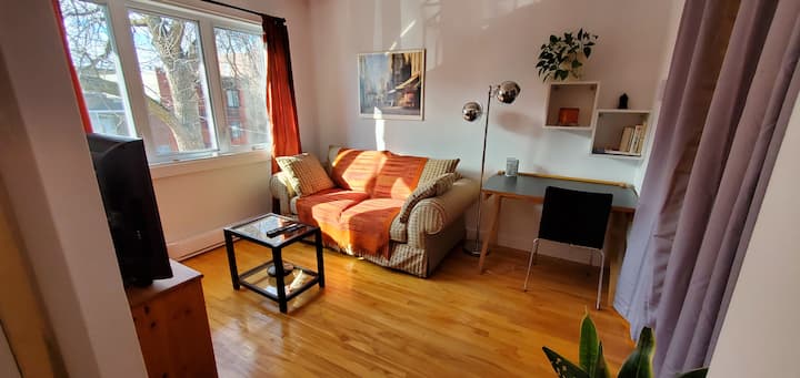 Beau 3 Et 1/2 Dans Villeray-st Michel - Montreal