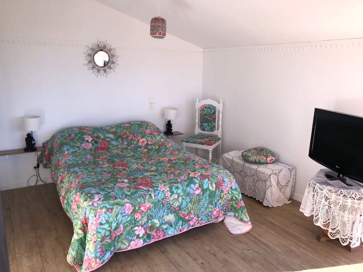 Chambre(s) D'hôte Au Calme De Pérols - Pérols