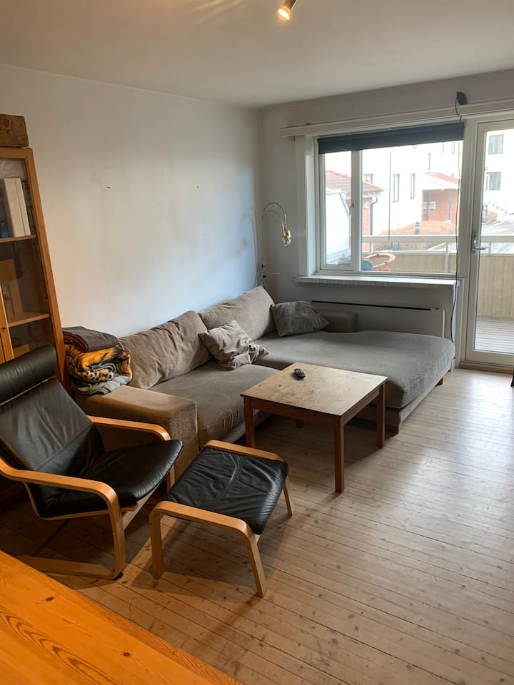 Selveierleilighet Med Peis, Terrasse Og Piano - Oslo