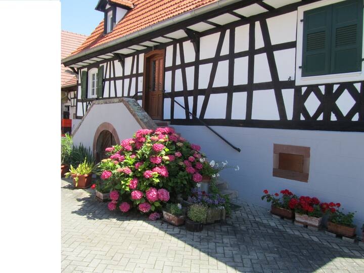 Maison Dans Village Alsace Du Nord Classée 3 * - Haguenau