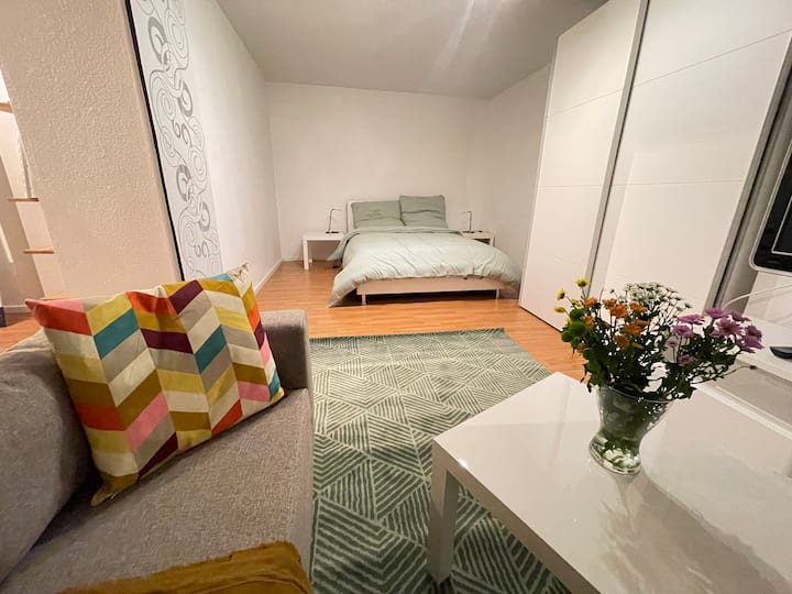 Super Appartment in Laufweite zum Zentrum&Mainufer - Randersacker