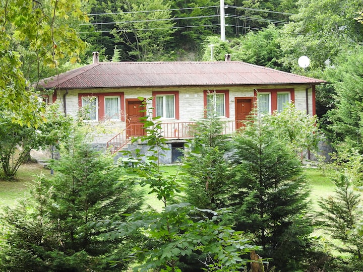 Dağ Evi̇ - Kocaeli