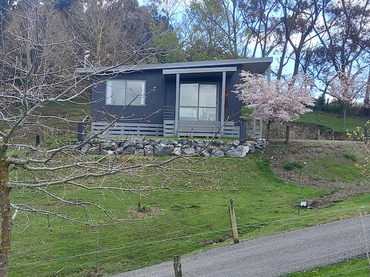 Little Forest Cabins Number 3 - Feilding