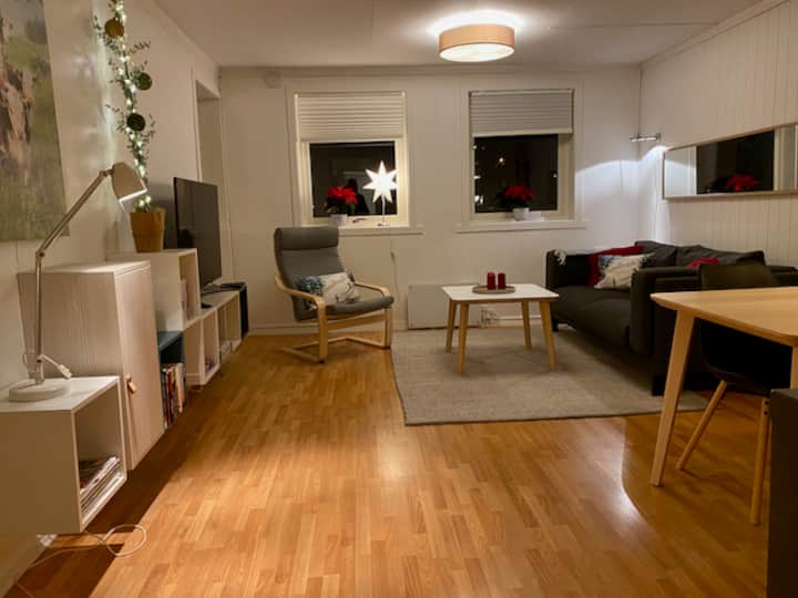 Leilighet Med To Soverom Nær Sentrum Og Stavkirken - Bergen Airport (BGO)