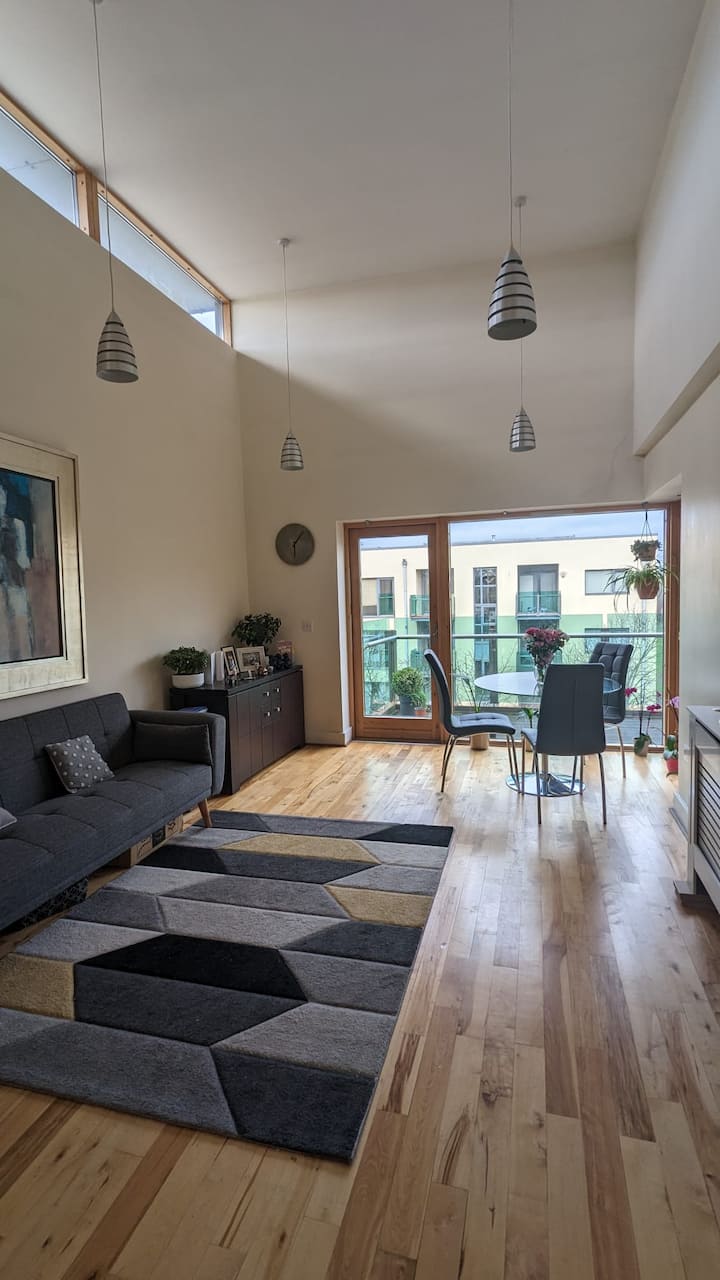 Lovely Apartment In Dublin City With Work Station - Dublin