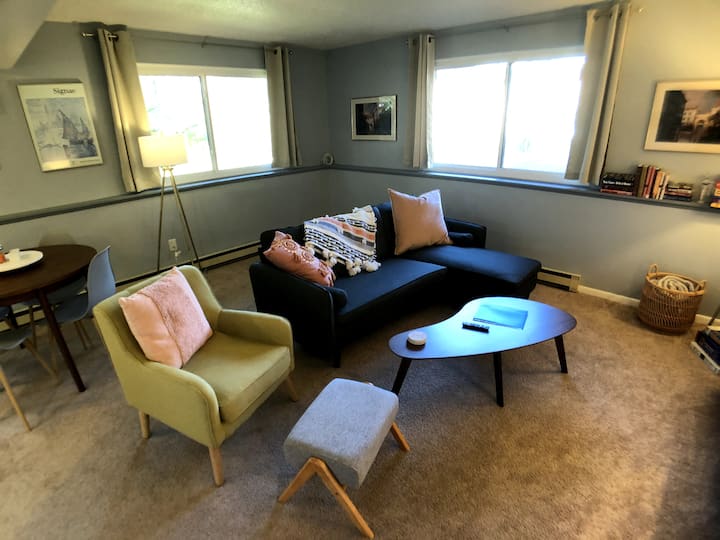 Lovely Garden Level Apartment,  1 Mile To Downtown - University of Michigan Hospital, Ann Arbor