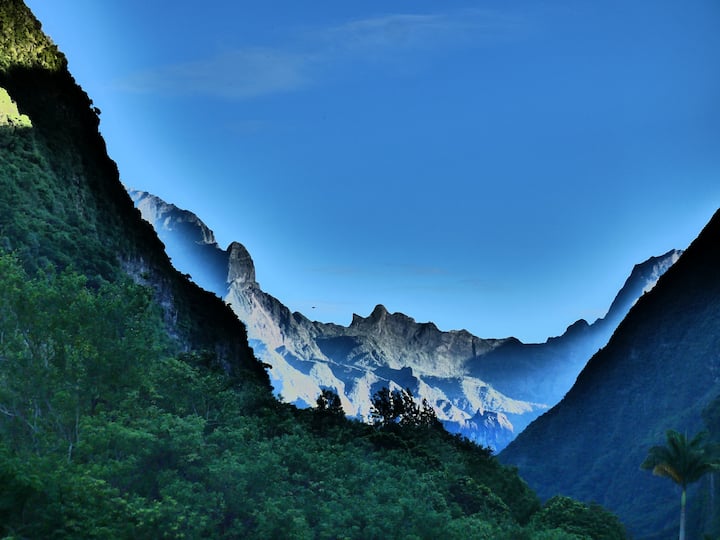 Ilet Foukènwar : La Cabane Dans Les Bois  ! - La Réunion