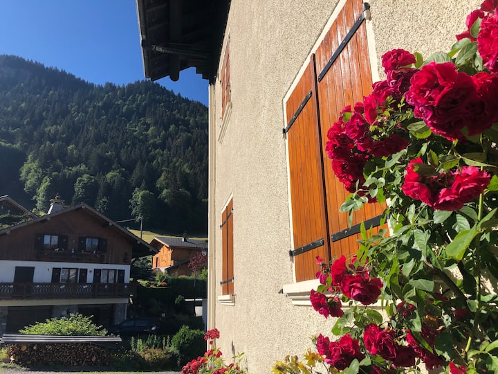 Walkable To Morzine | On Bus Route | Ski Apt. - Morzine