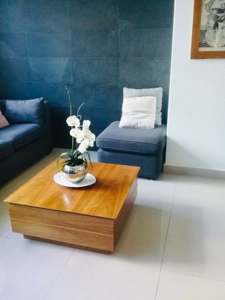 Luminoso Apartamento En Mirador Polanco - Mexico City