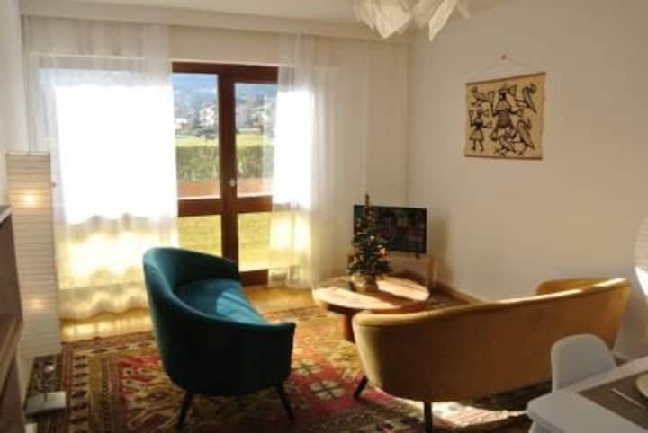 Le Balcon De Sallanches Mont-blanc - Sallanches