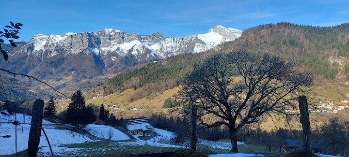 Ferme Rénovée Avec Vue Panoramique - Manigod