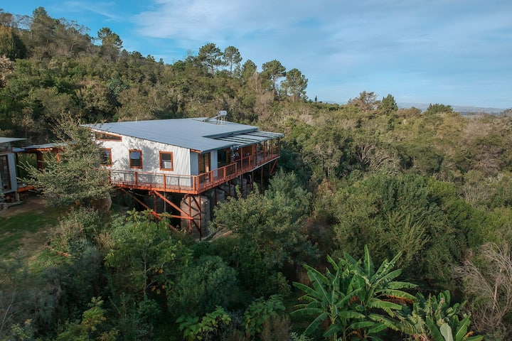 Digital Nomad Forest Dream – Now & Here Farm - Wilderness