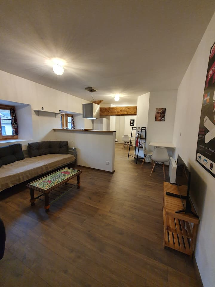 Superbe Appt,1-6prs,cntre Ville,thermes,télécabine - Ax-les-Thermes