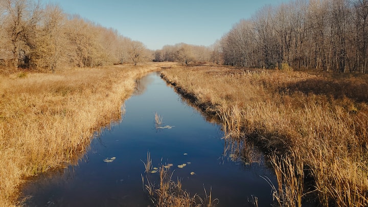 Augusta Ferienwohnungen & Unterkünfte - Ontario, Kanada | Airbnb