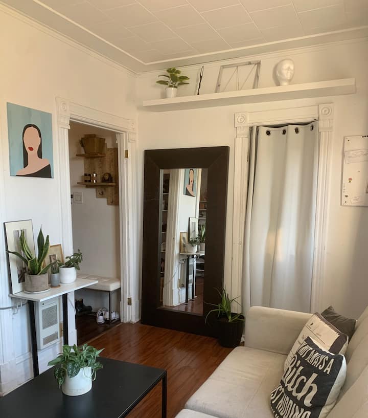 Appartement Entier Plateau Mont-royal - Montreal