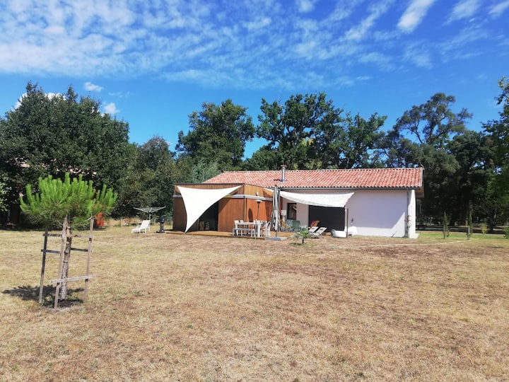 Maison De Vacances 160m² Sur 5800m² De Terrain - Lit-et-Mixe