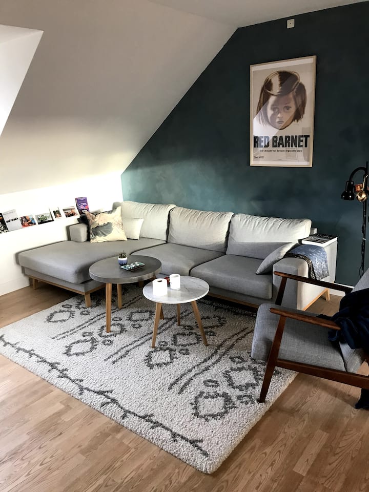 Bright Penthouse In Central Location - Kodaň