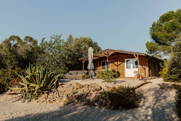 The Writer's Retreat (O Retiro Do Escritor) - Fuseta