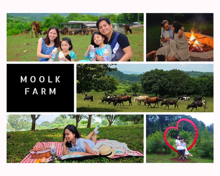 New Zealand of Tanay Tiny House Villa @ Moolk Farm - Farm stays for ...