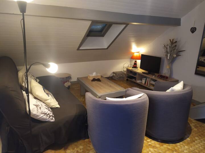 Charmant Duplex Dans Les Bauges - Aillon-le-Jeune