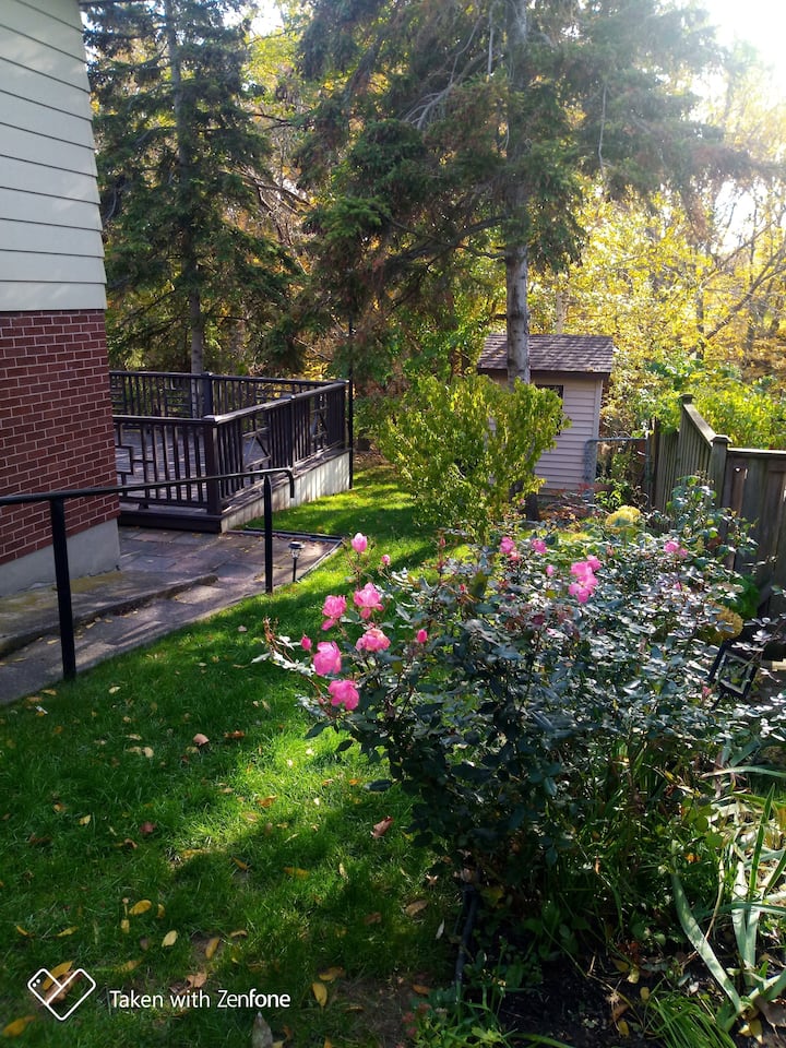 Two Room Suite Overlooks Wooded Ravine - St. Catharines