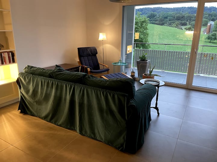Modern Apartment 1 Bedroom, 1 Living, Free Parking - Canton de Vaud