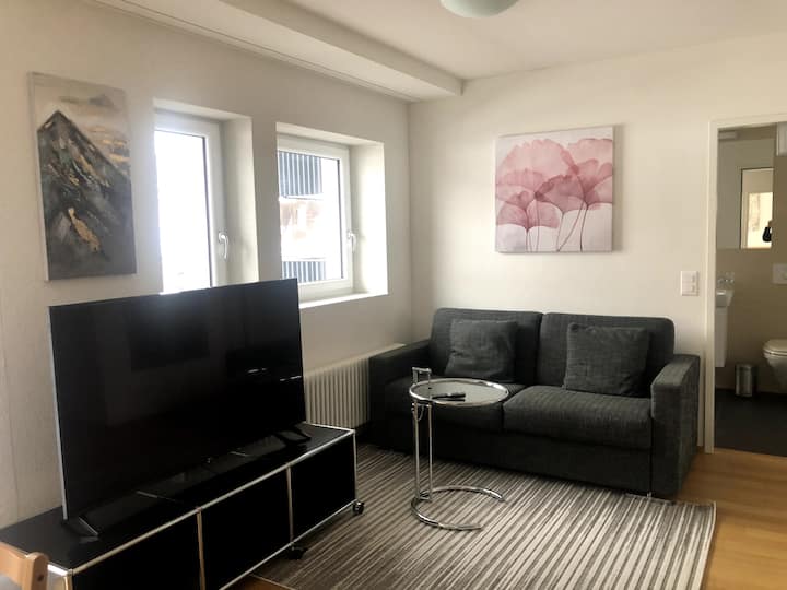 Very Sunny 1br Flat In The City Center (West4) - Zurich