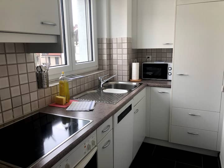 Bright And Quiet Studio In The City Center (Sky1) - Zurique