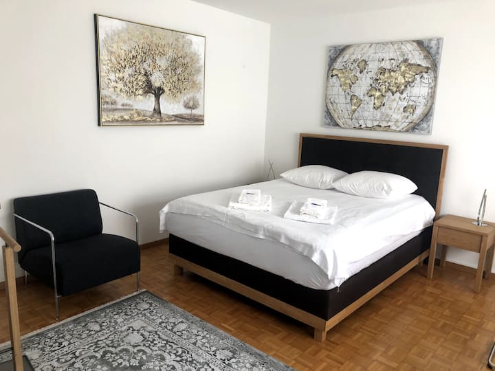 Bright And Quiet Studio In The City Center (Sky1) - Zürich
