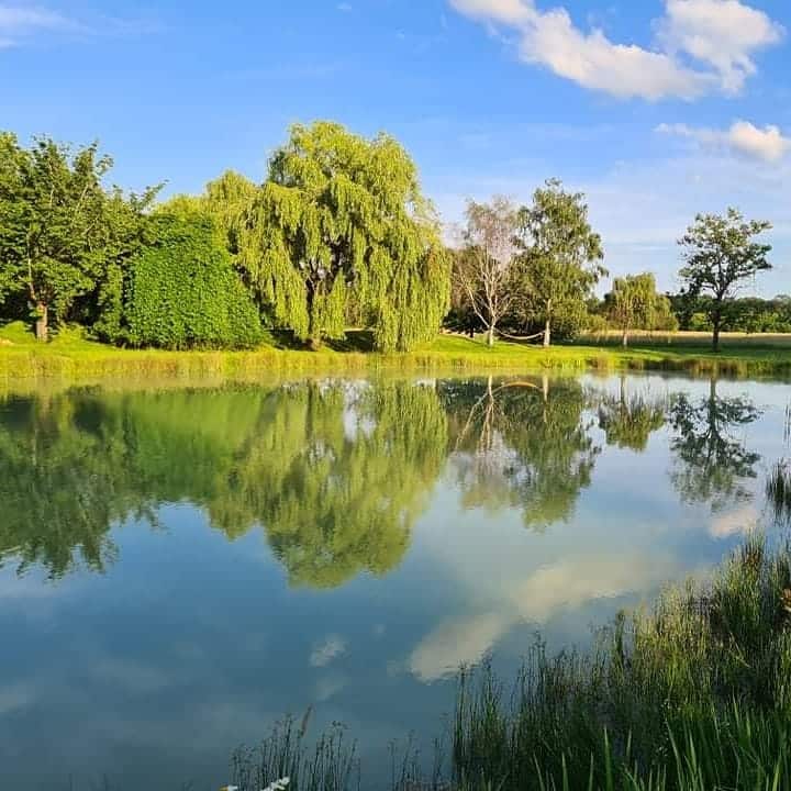 Les Vergers De La Ménaudière - Amboise