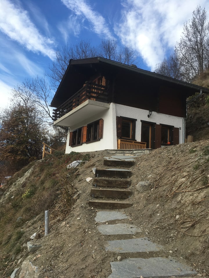 Chalet Accueillant Avec Vue Imprenable - Zinal