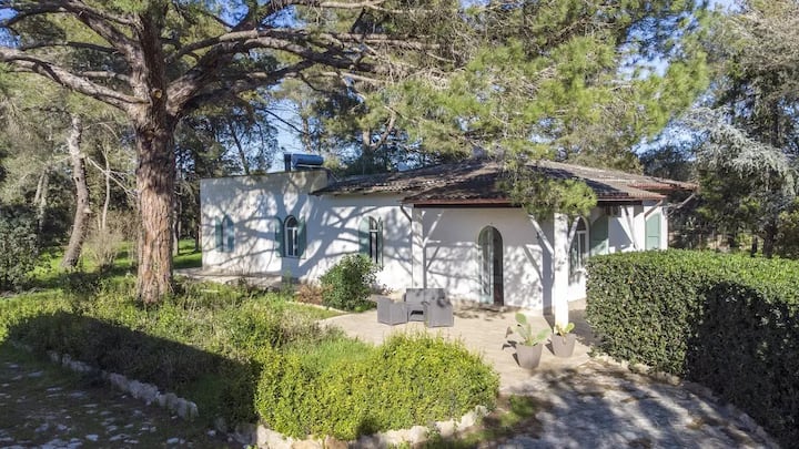 Villa Cardinale, Piscine Dans Pinède En Salento - Campomarino