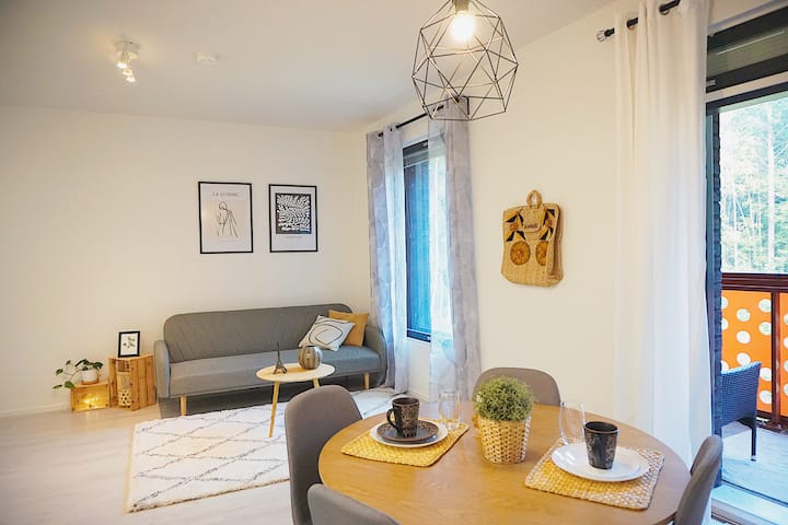 Entire Spacious Flat Near Helsinki Airport - Vantaa