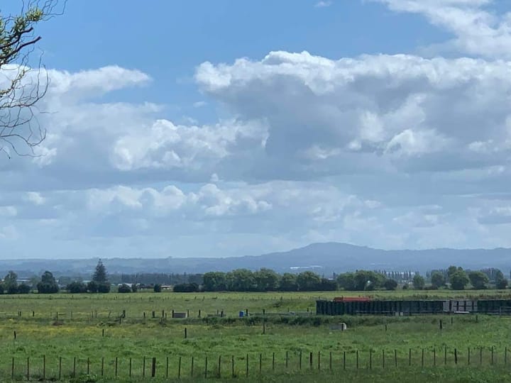 Great Bach! - Bay of Plenty