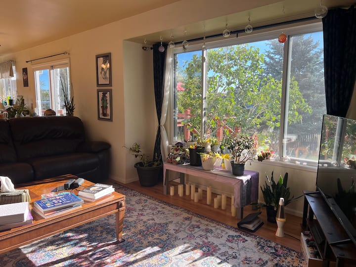 Cozy Sunlit Getaway - Colorado Springs, CO
