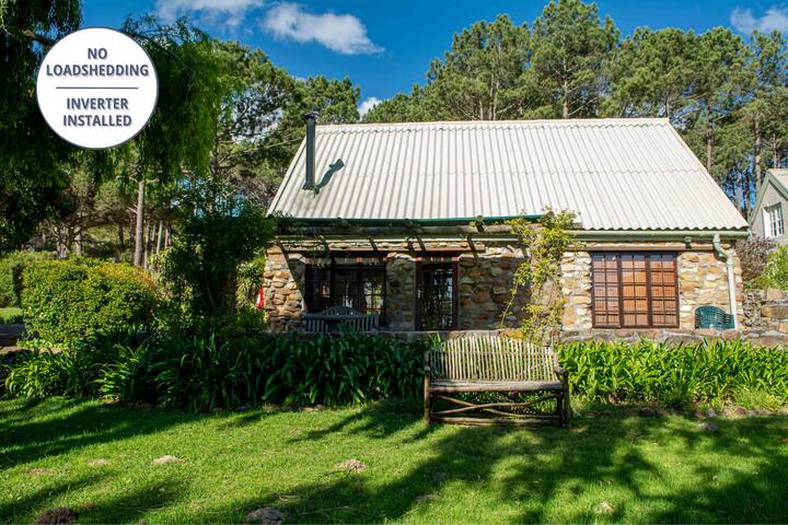 No 6 - Oregon Pine Cottage - ケープタウン