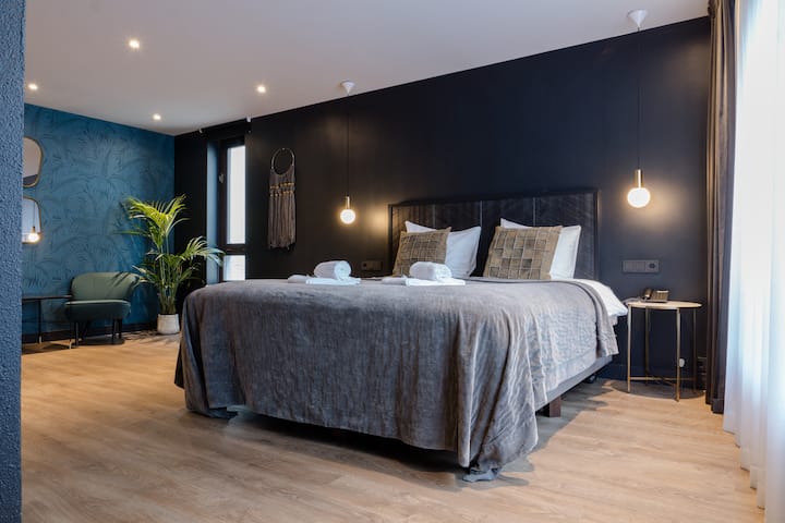 Deluxe Suite Flexible (10 Min To Tulip Gardens) - Lisse