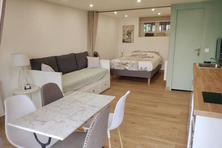 Grand Studio Jardin Et Parking Proche Centre-ville - Cahors