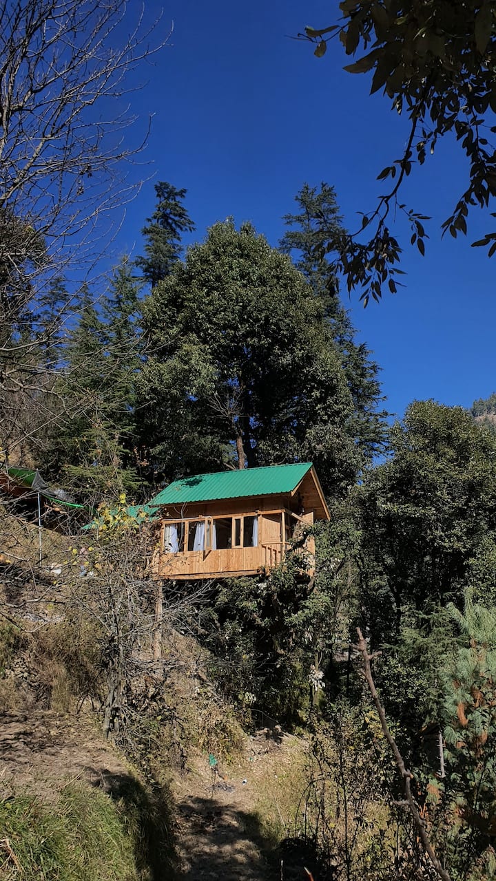 Little Wood Tree House- Qainaat - Jibhi